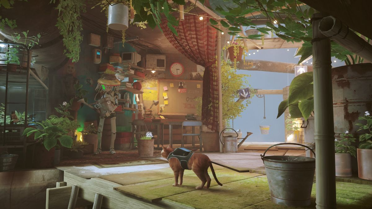 Stray: Where to Find the Red, Yellow, and Purple Flowers - GameRiv