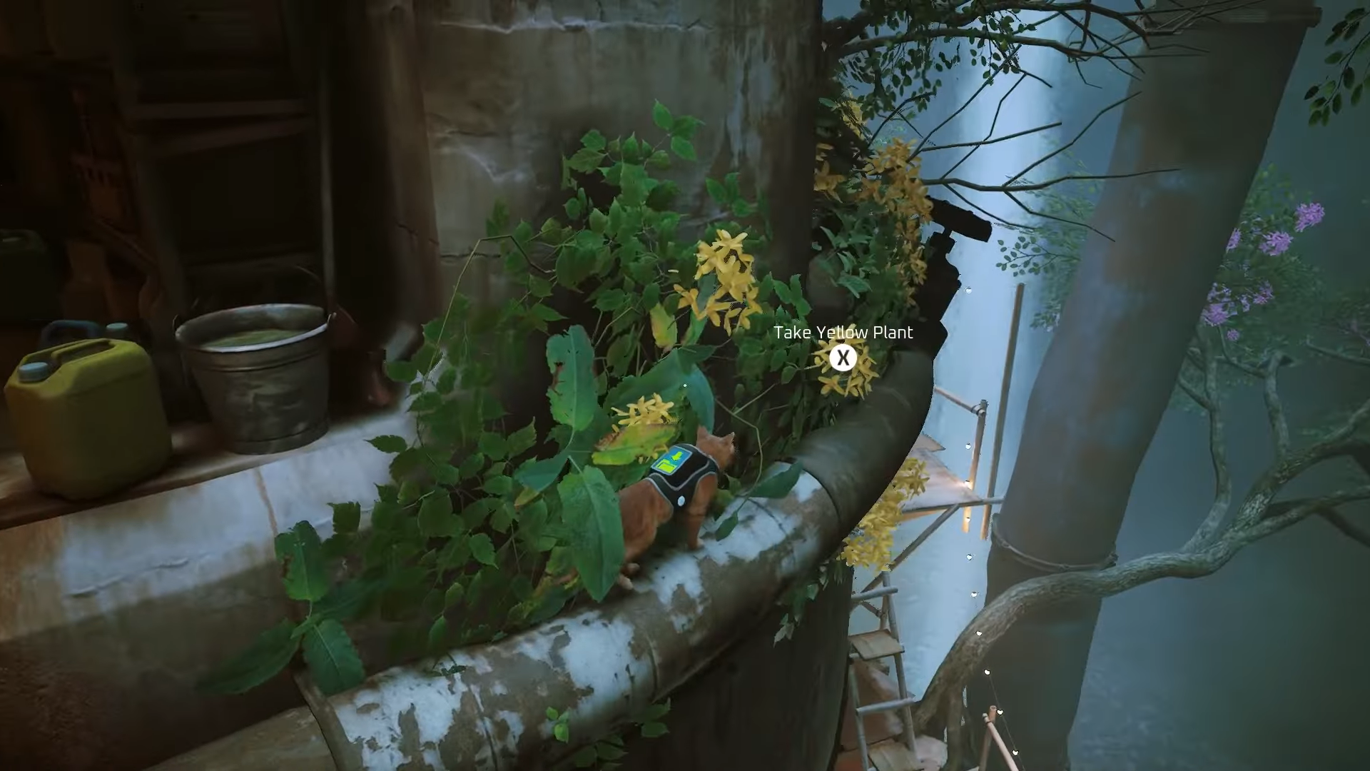 Stray: Where to Find the Red, Yellow, and Purple Flowers - GameRiv
